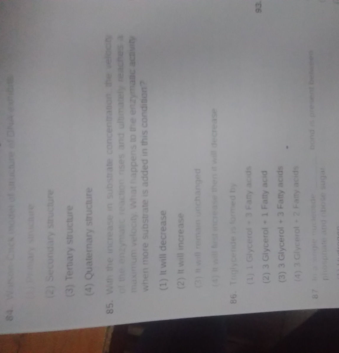 84 (1) Primary structure (2) Secondary | StudyX