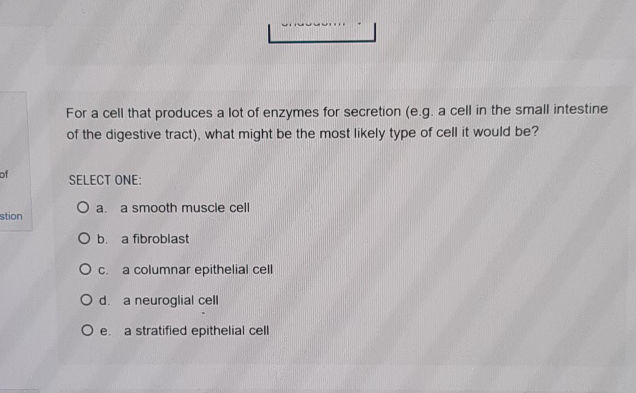 For a cell that produces a lot of enzymes | StudyX