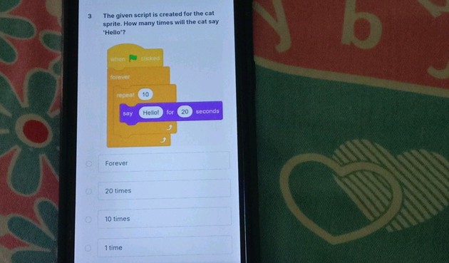 3 The given script is created for the cat | StudyX