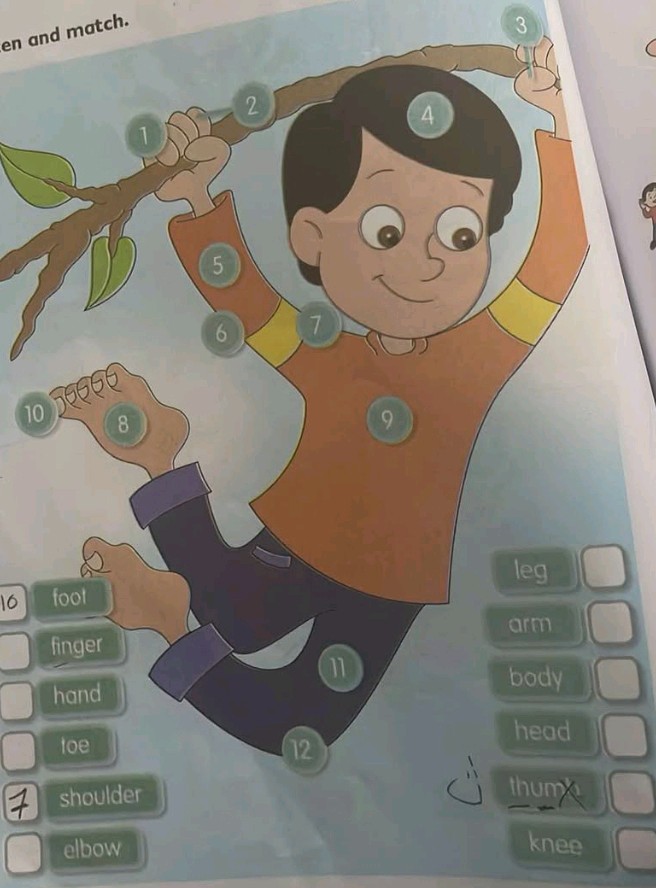 See image for detailsThe image contains a | StudyX