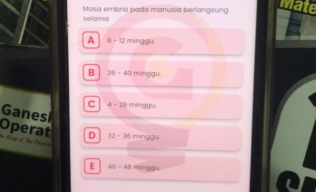 Masa embrio pada manusia berlangsung selama | StudyX