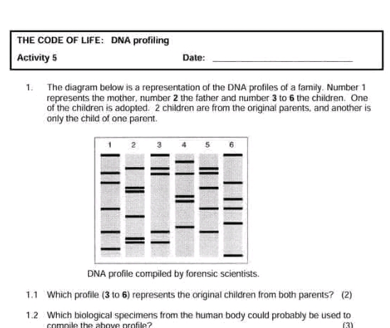 THE CODE OF LIFE DNA profiling Activity 5