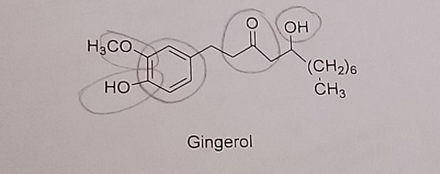 The image contains a chemical structure | StudyX