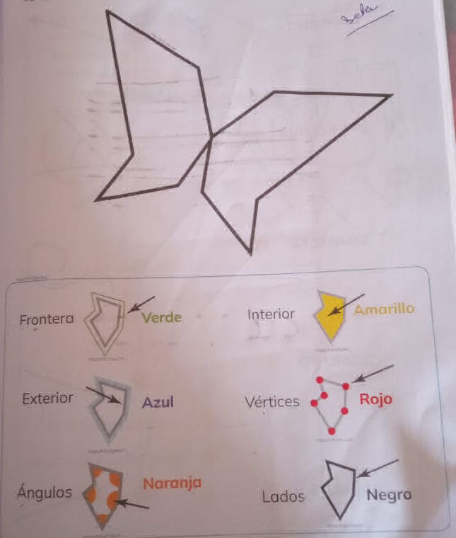 Color the following according to the key | StudyX