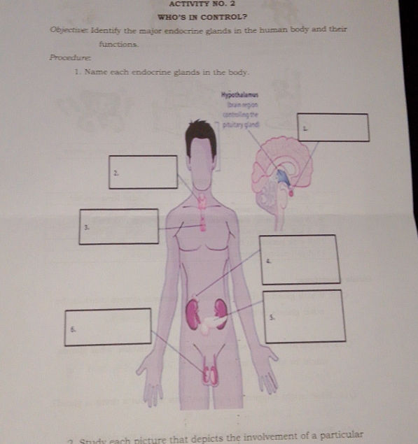 ACTIVITY NO 2 WHOS IN CONTROL Objective | StudyX
