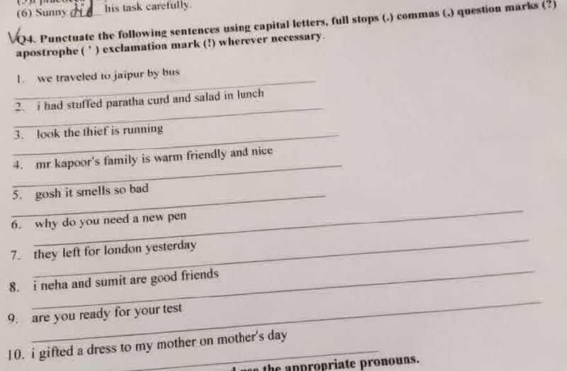 Punctuate the following sentences using | StudyX