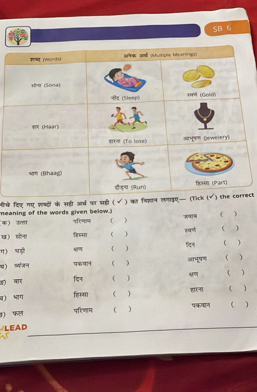 Tick () the correct | StudyX