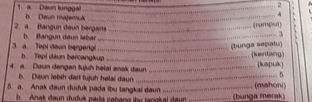 1 a Daun tunggal b Daun majemuk 2 a Bangun | StudyX