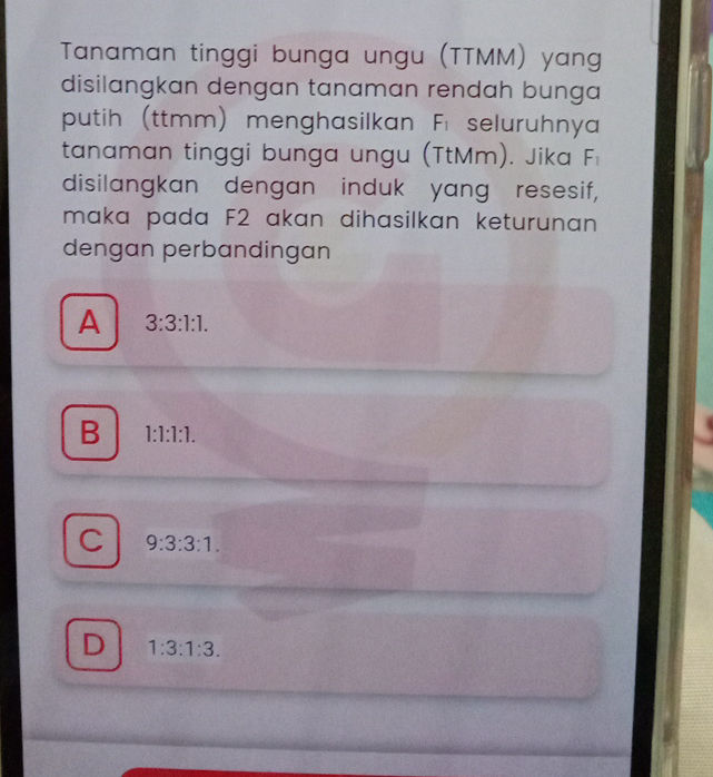 Tanaman tinggi bunga ungu (TTMM) yang | StudyX