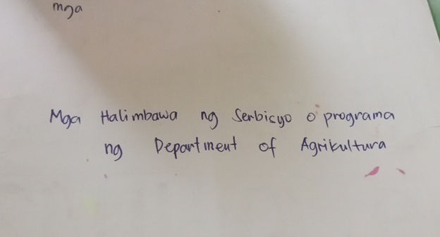Mga Halimbawa ng Serbisyo o programa ng | StudyX