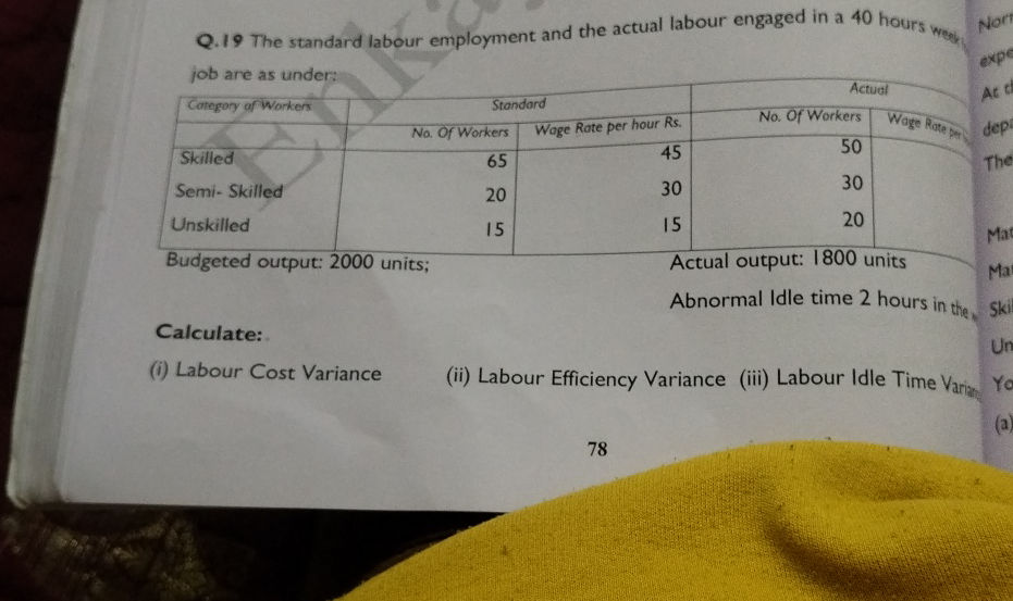 Q19 The standard labour employment and the | StudyX
