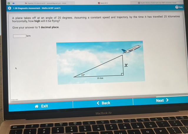 A plane takes off at an angle of 20 degrees