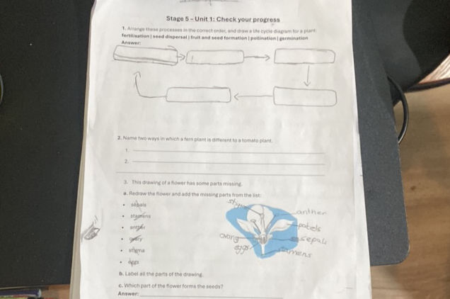 Stage 5-Unit 1 Check your progress 1 Arrange | StudyX