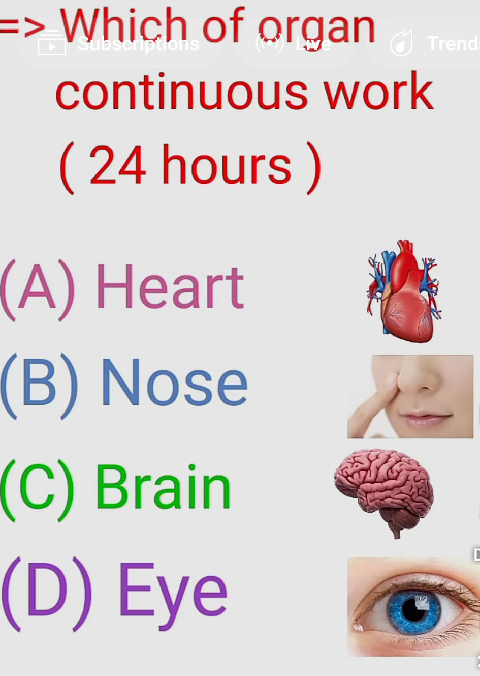 Which Of Organ Continuous Work 24 Hours