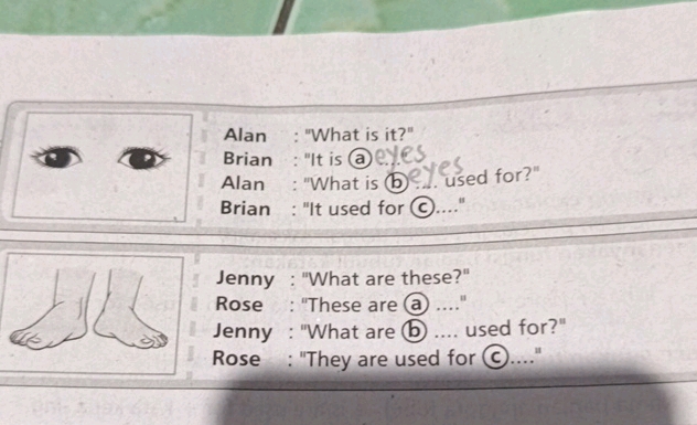 Alan What is it Brian It is a eyes Alan | StudyX