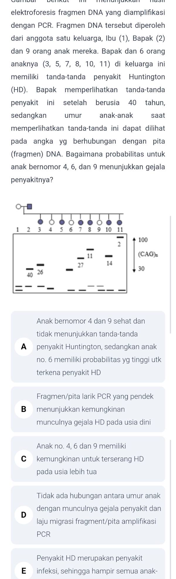 elektroforesis fragmen DNA yang