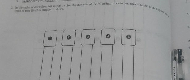 2 In the order of draw from left to right | StudyX