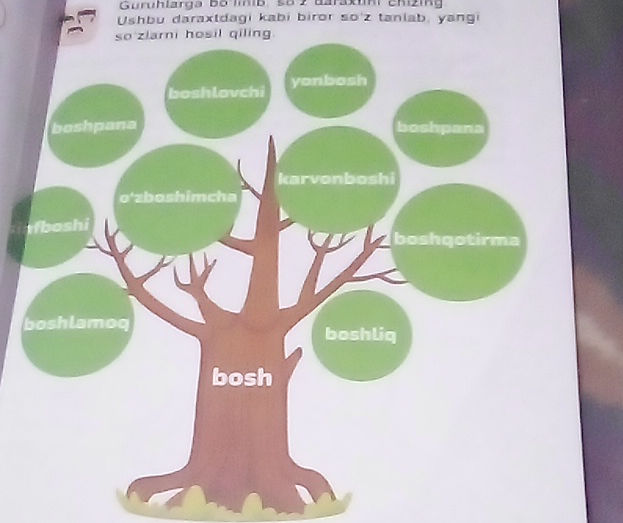 Guruhlarga bolinib chizing Ushbu daraxtdagi | StudyX