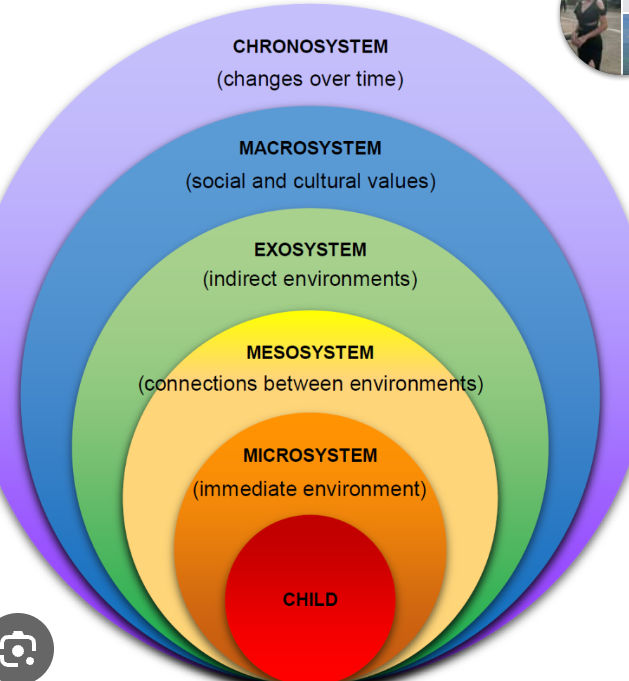 CHRONOSYSTEM (changes over time) MACROSYSTEM | StudyX