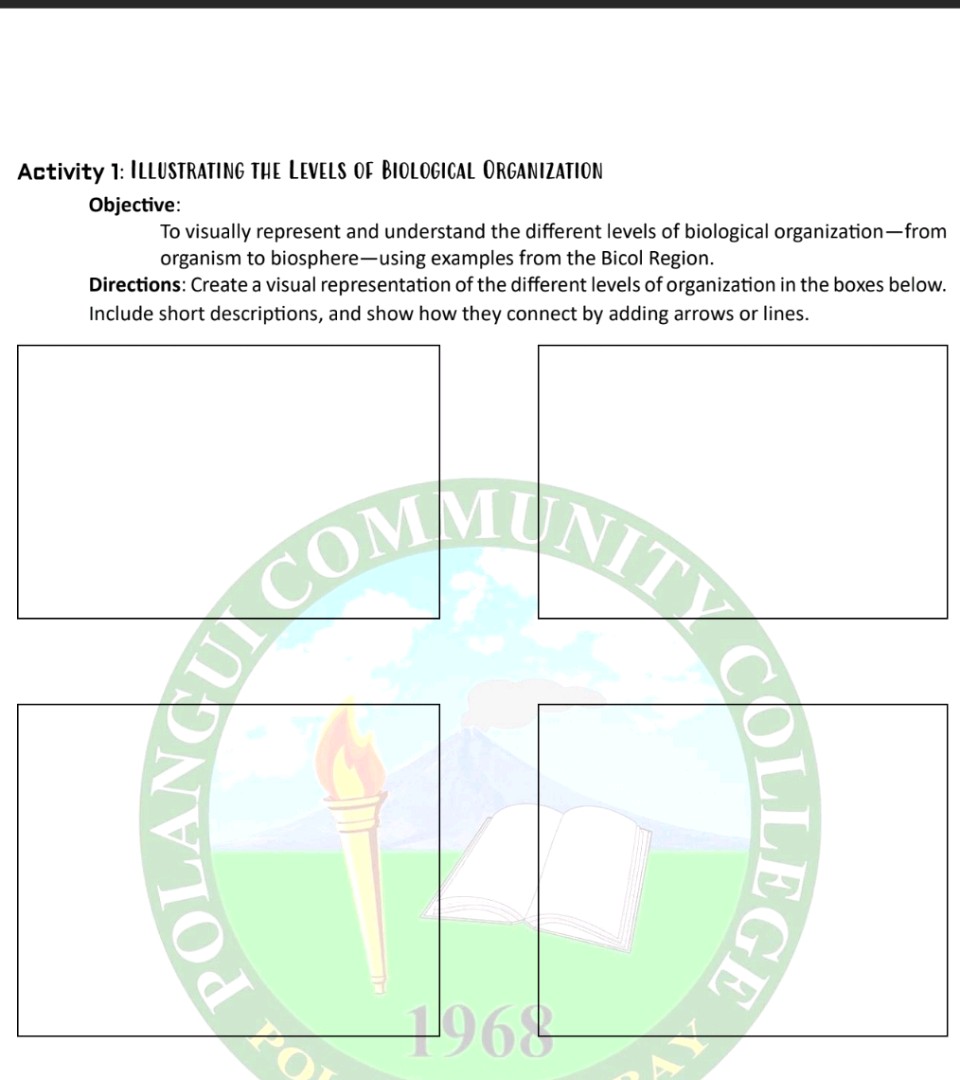 Activity 1 ILLUSTRATING THE LEVELS OF | StudyX