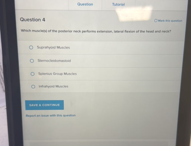 Question 4 Which muscle(s) of the posterior