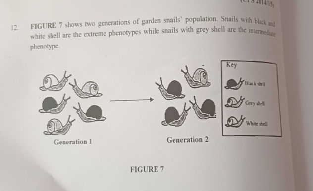 FIGURE 7 shows two generations of garden | StudyX