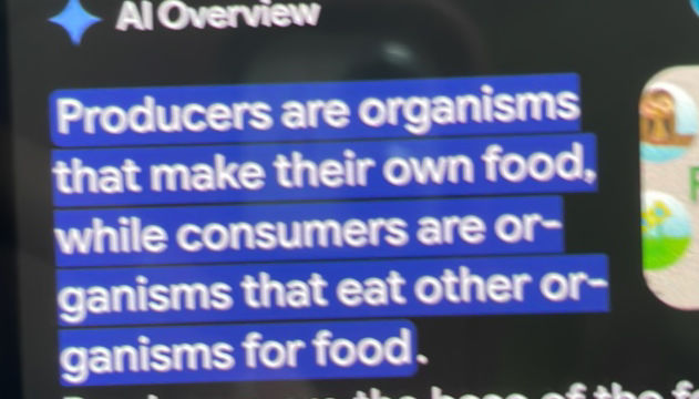 Producers are organisms that make their own | StudyX