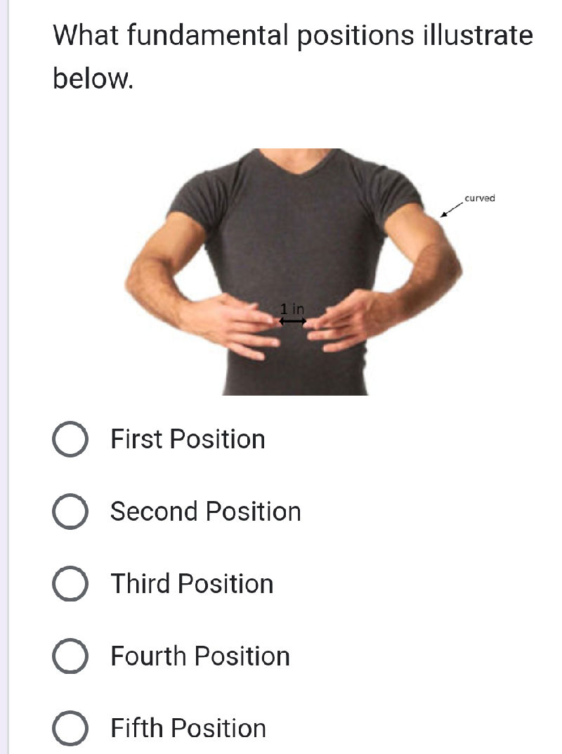 What fundamental positions illustrate below | StudyX