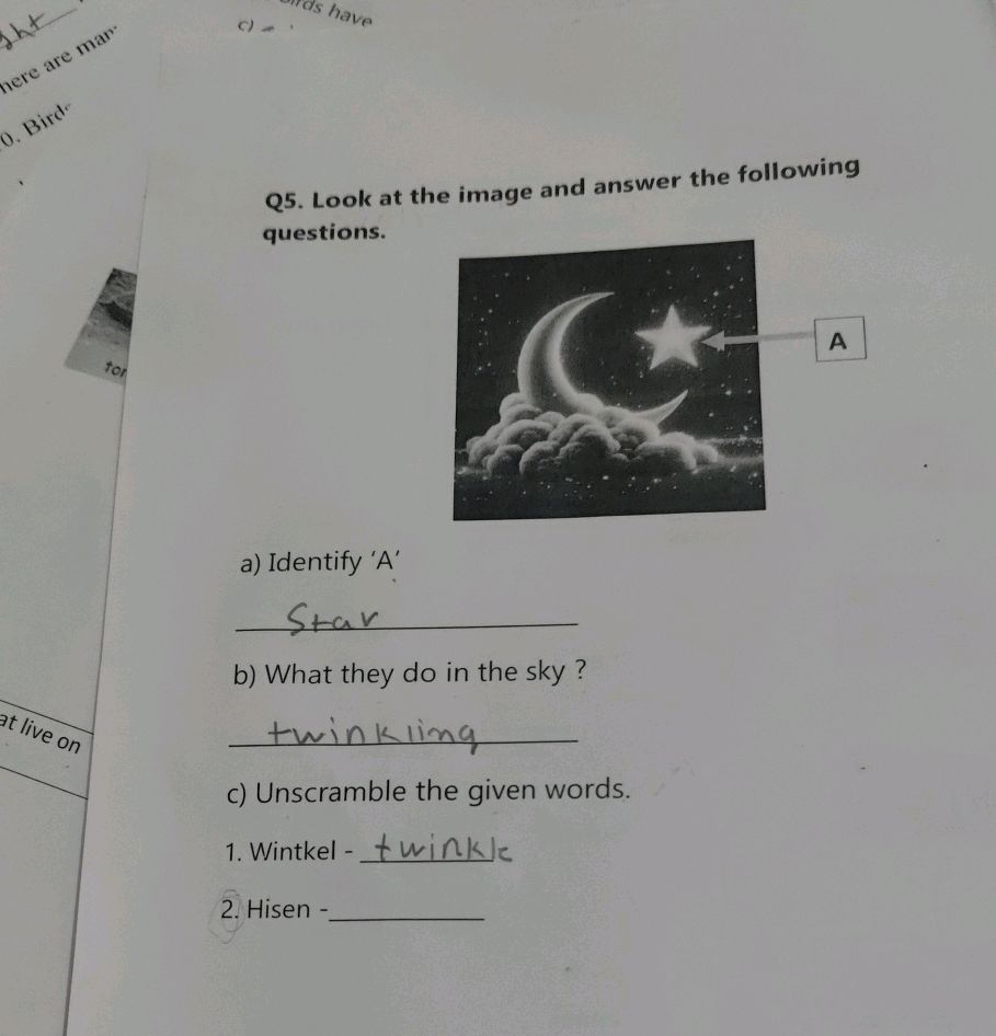 Q5 Look at the image and answer the | StudyX