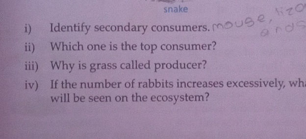 i) Identify secondary consumers mouse and | StudyX