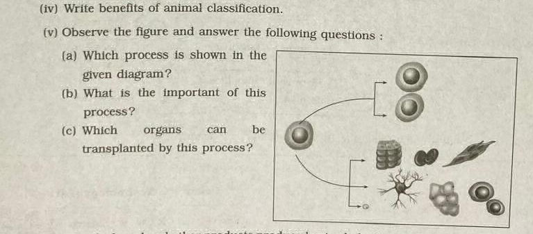 (iv) Write benefits of animal classification | StudyX