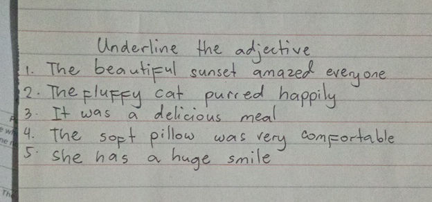 Underline the adjective 1 The beautiful | StudyX