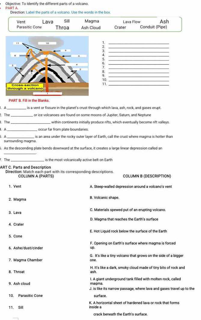 Objective To Identify the different parts of | StudyX
