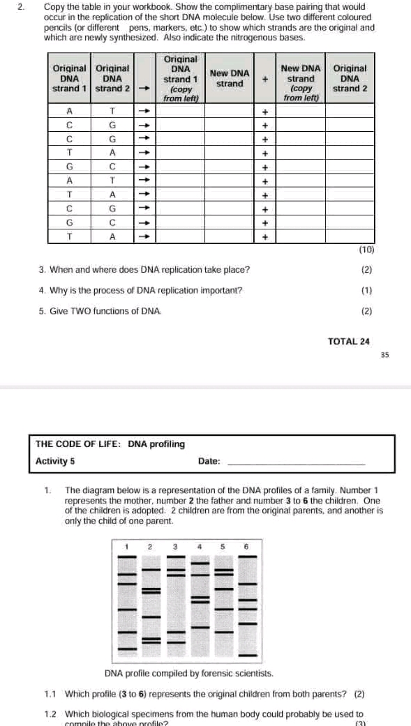 2 Copy the table in your workbook Show the | StudyX