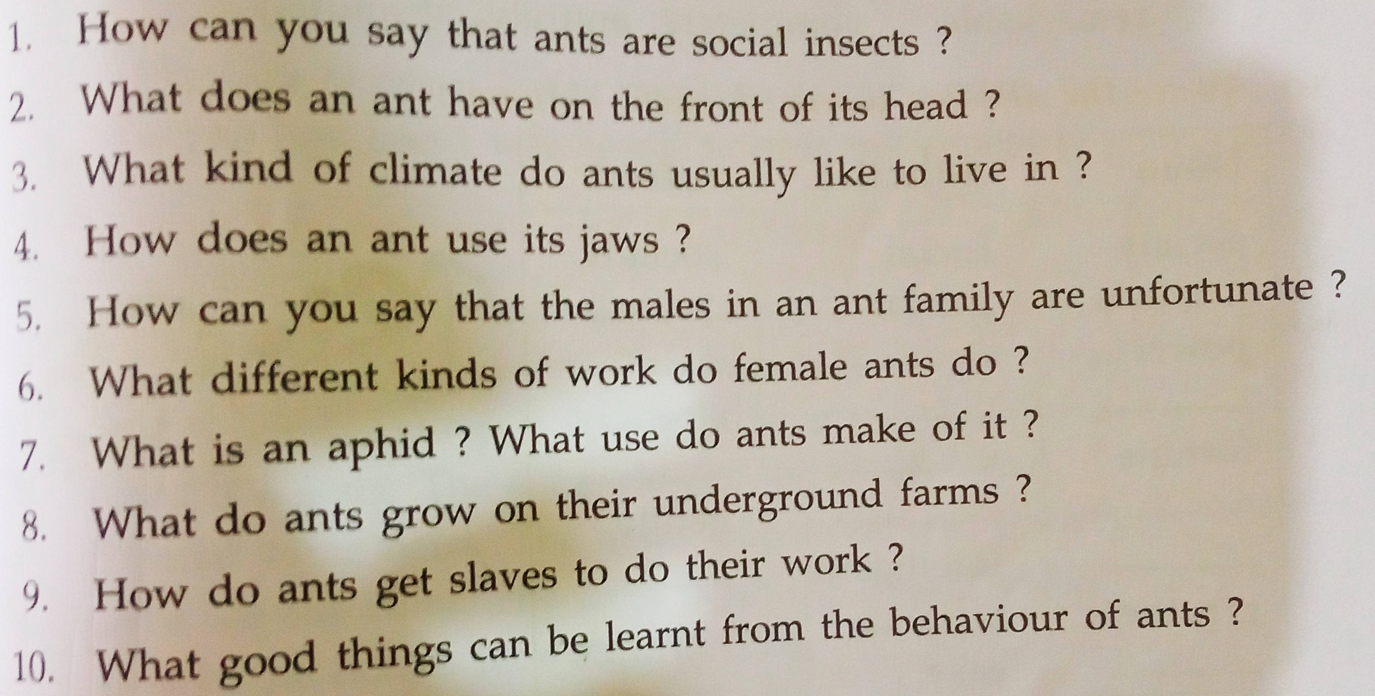 1 How can you say that ants are social | StudyX