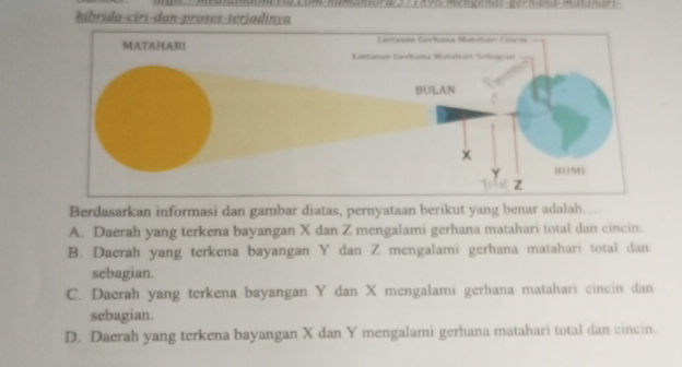 Berdasarkan informasi dan gambar diatas | StudyX