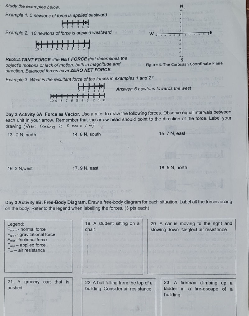 Study the examples below Example 1 5 newtons | StudyX