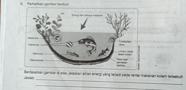 5 Perhatikan gambar berikut Berdasarkan | StudyX