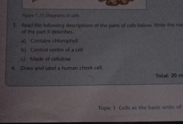 Figure 121 Diagrams of cells 3 Read the | StudyX