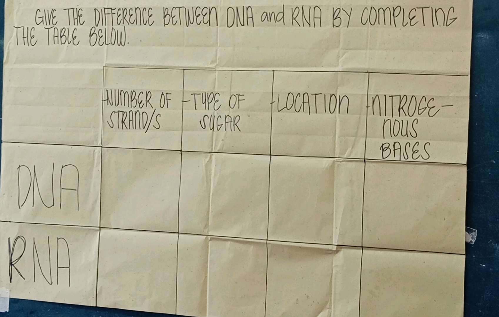 GIVE THE DIFFERENCE BETWEEN DNA and RNA BY | StudyX