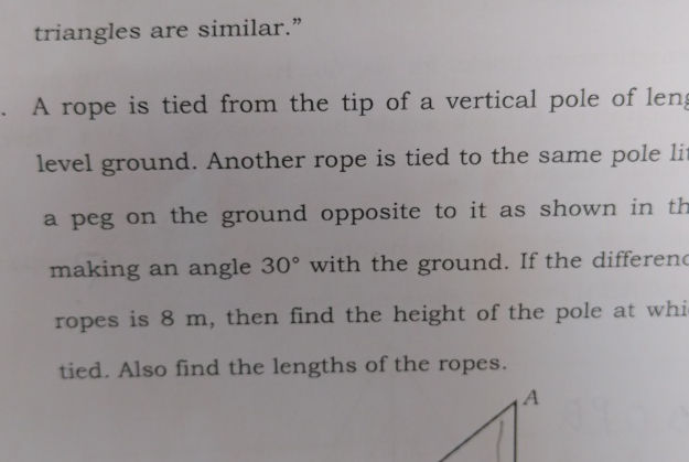 A rope is tied from the tip of a vertical | StudyX