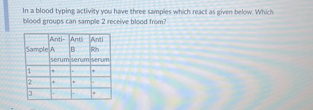 In a blood typing activity you have three | StudyX
