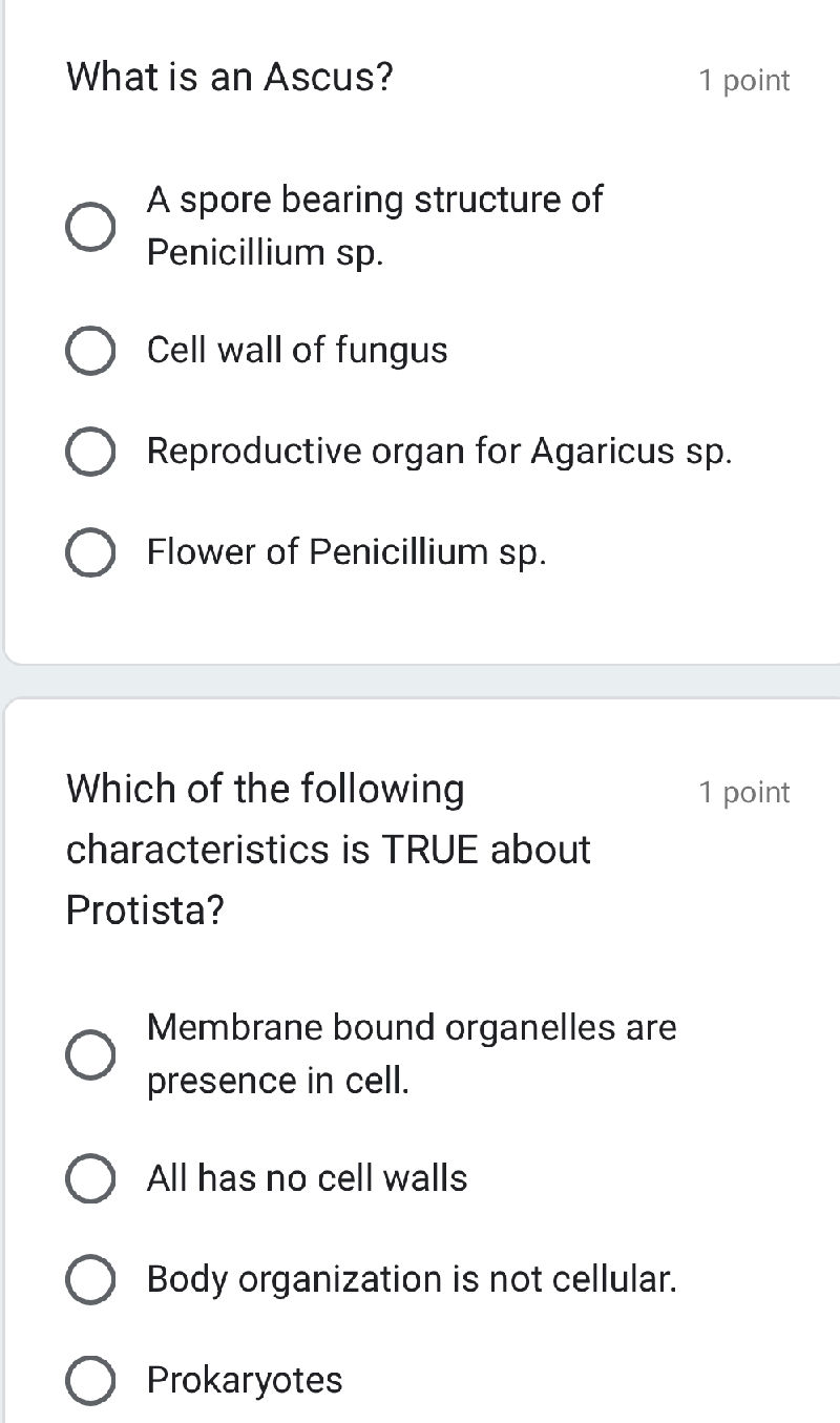 What is an Ascus A spore bearing structure | StudyX