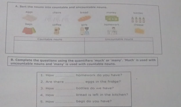 A Sort the nouns into countable and | StudyX