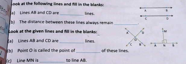 Look at the following lines and fill in the | StudyX