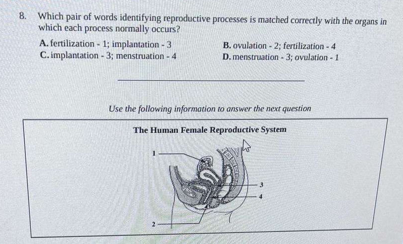 8 Which pair of words identifying | StudyX