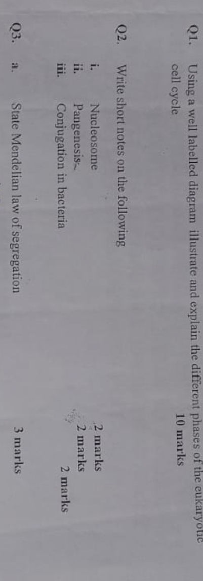 Q1 Using a well labelled diagram illustrate | StudyX