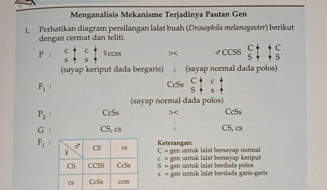 Menganalisis Mekanisme Terjadinya Pautan Gen | StudyX