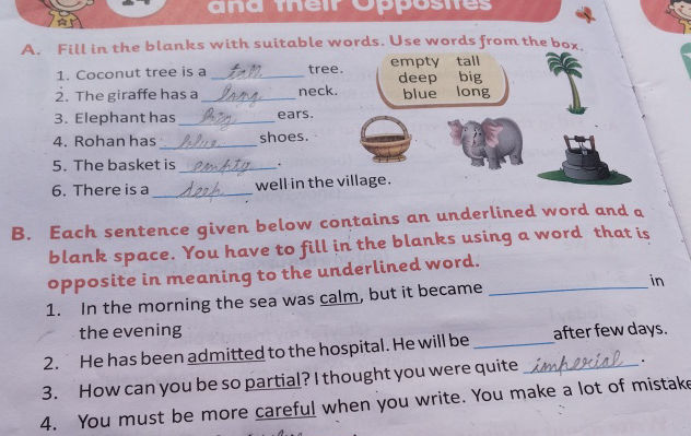 A Fill in the blanks with suitable words Use | StudyX