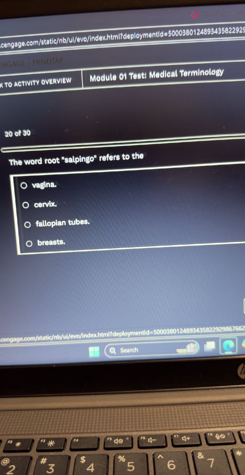 The word root "salpingo" refers to the